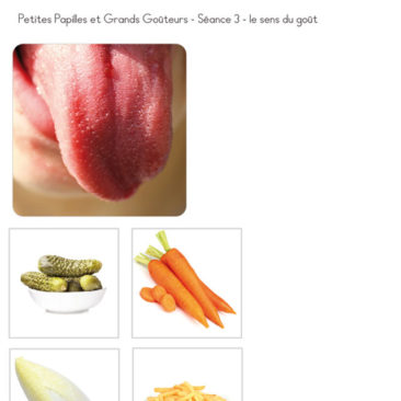 Images et étiquettes séance 3 le goût (cursive) - Papille